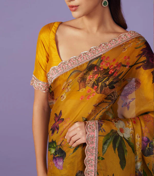 ORGANZA ZARDOZI BORDER SAREE SET | Deval The Multi Designer Store